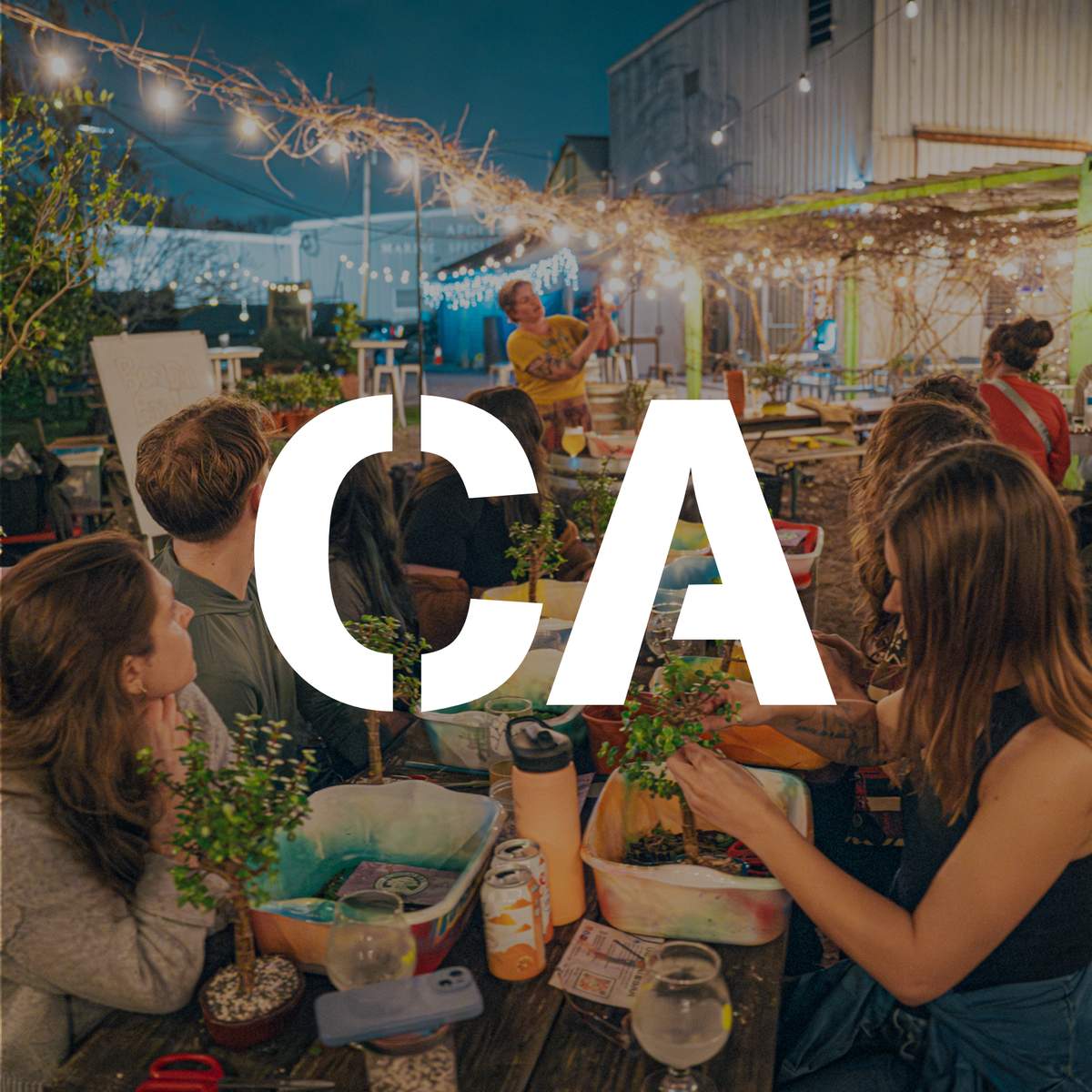 California – Bonsai Bar