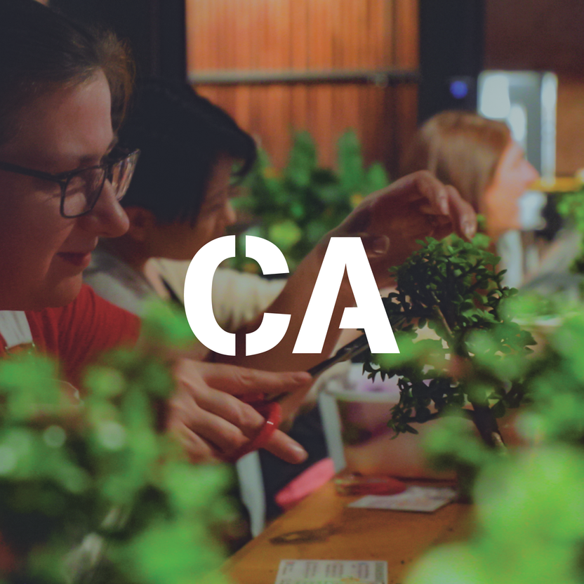 Collections – Bonsai Bar