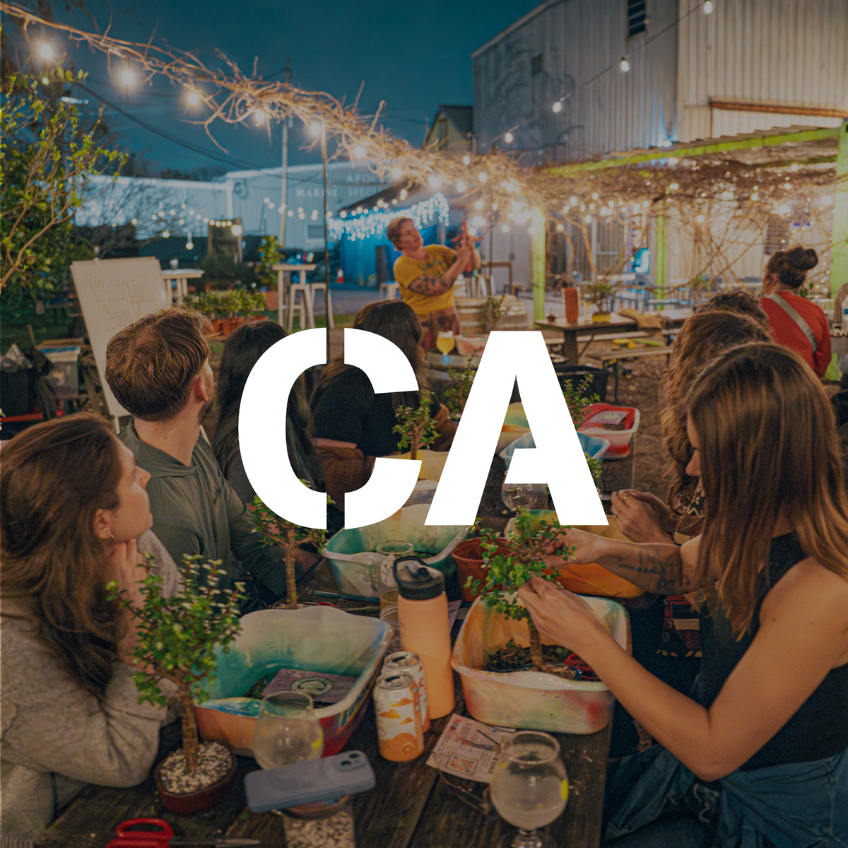 SoCal – Bonsai Bar