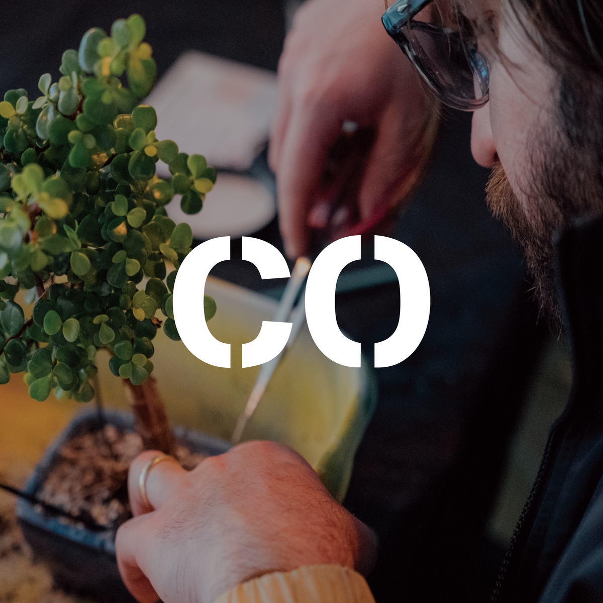 Colorado – Bonsai Bar