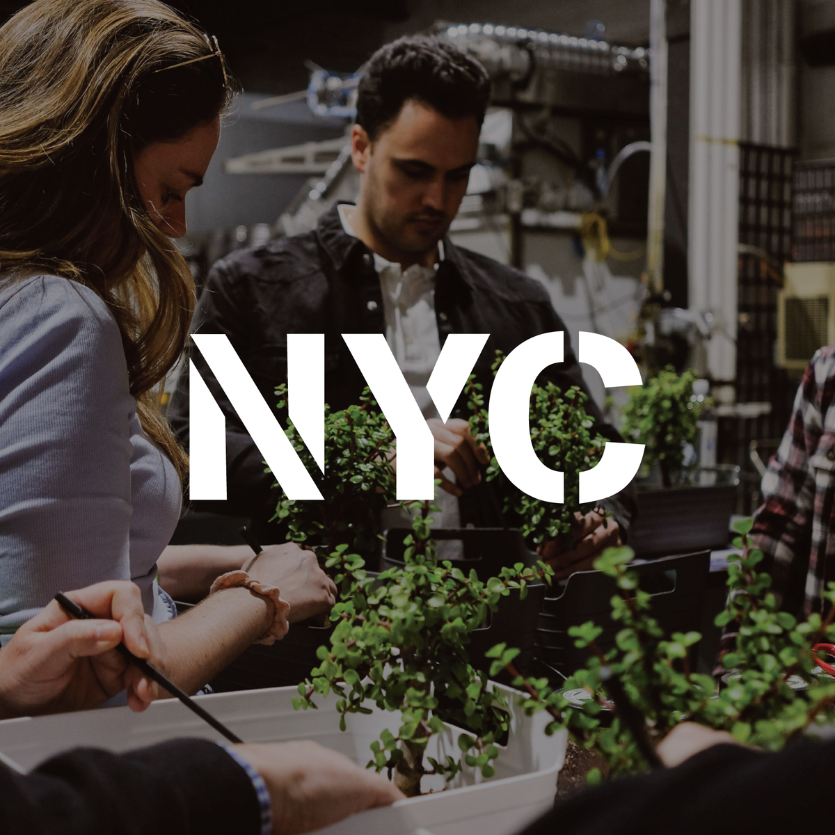 New York City – Bonsai Bar