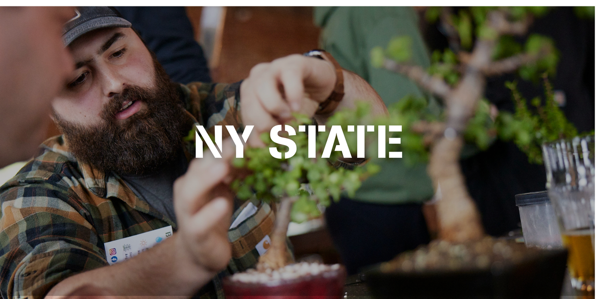 New York State – Bonsai Bar