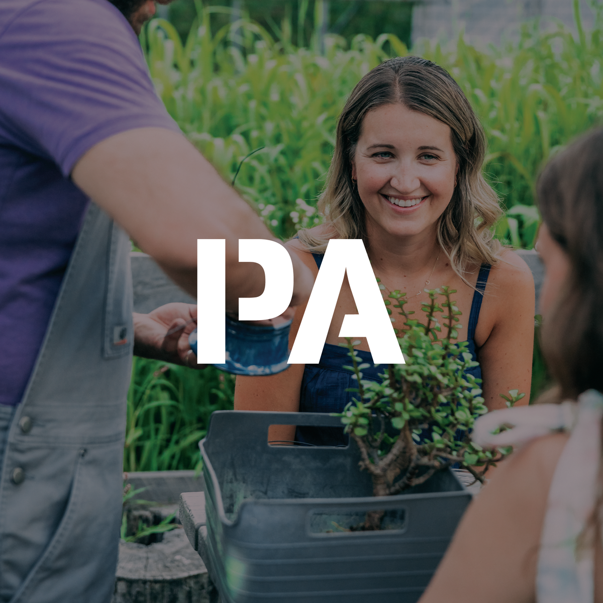 Pennsylvania – Bonsai Bar