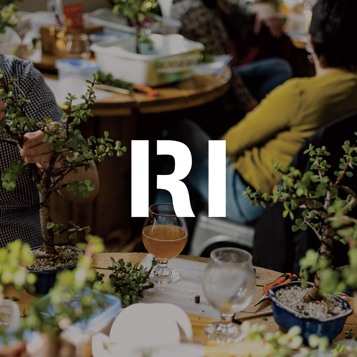 Rhode Island – Bonsai Bar