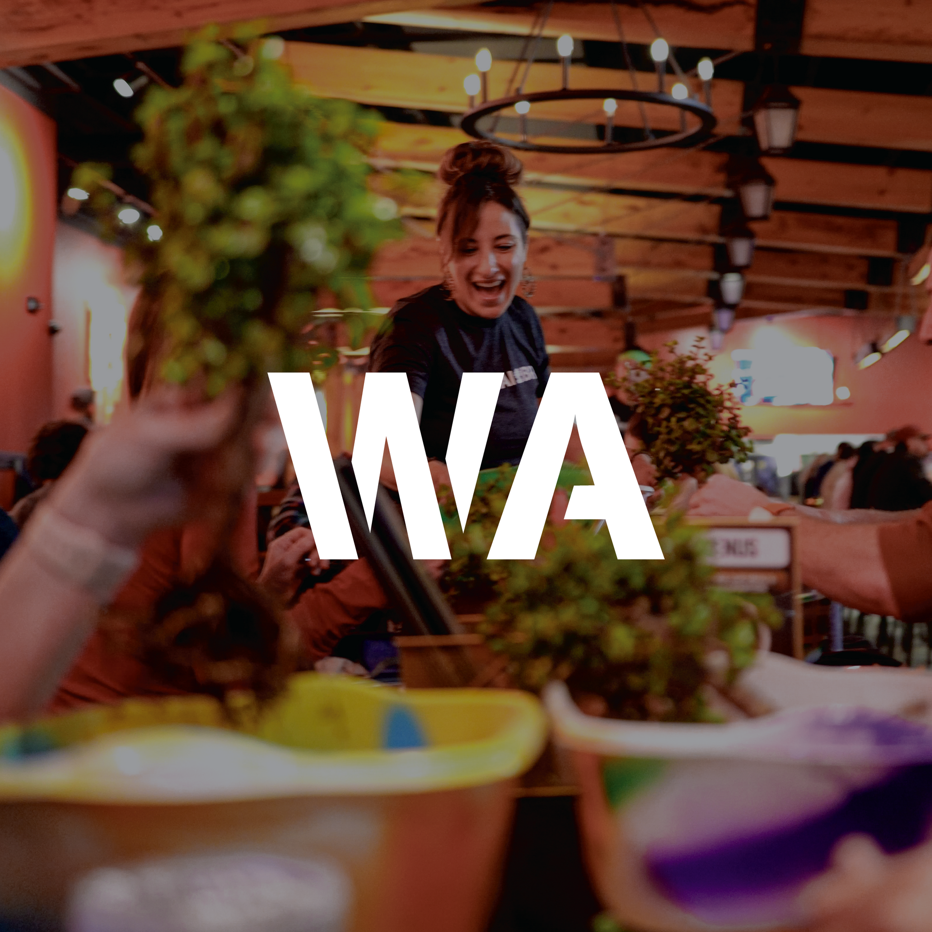 Bonsai Workshops in Washington — Seattle, Tacoma & Beyond | Bonsai Bar