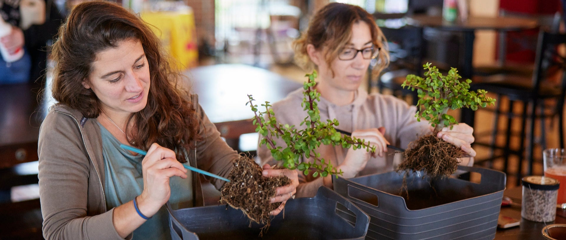 Private Events – Bonsai Bar