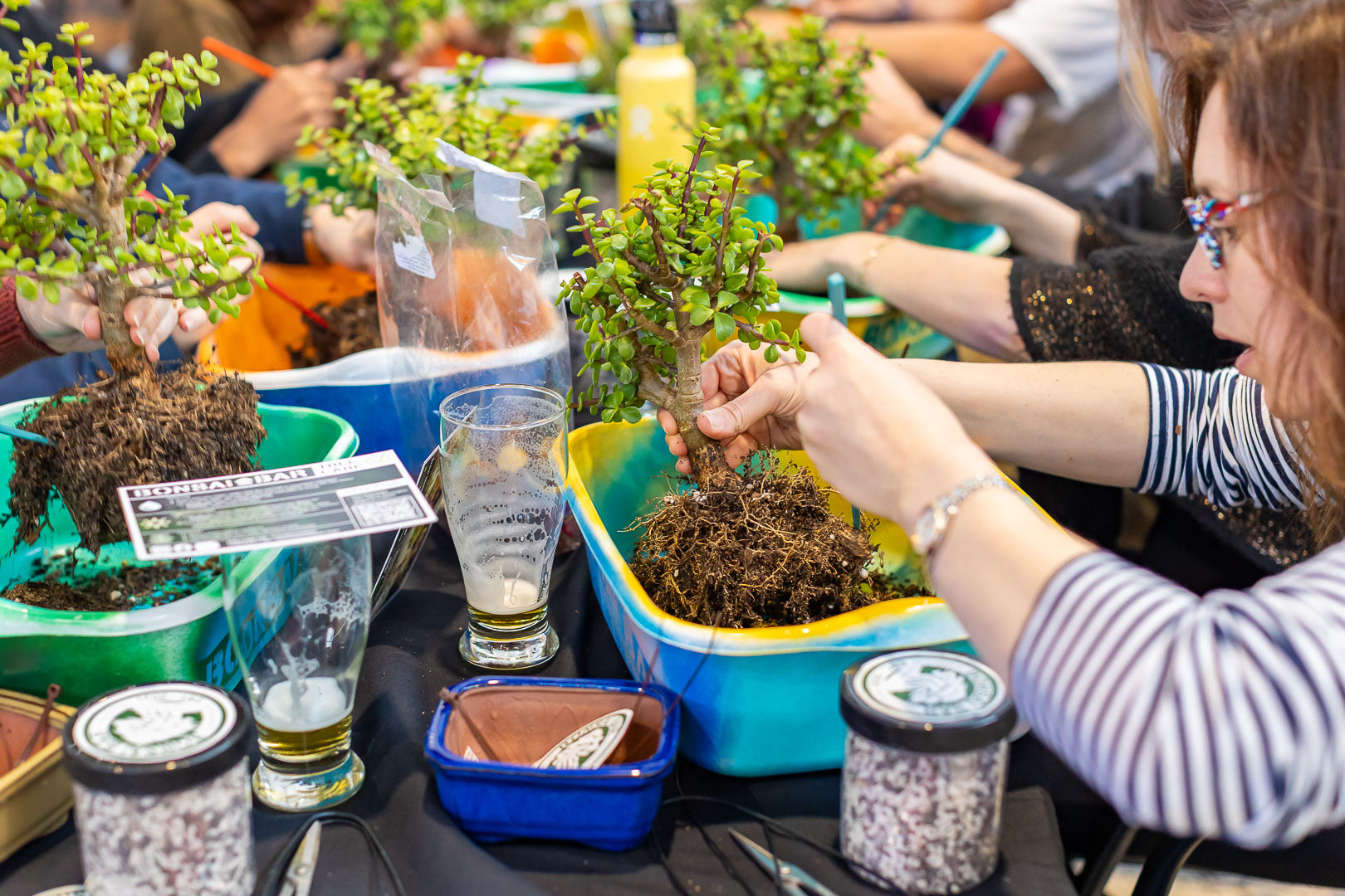 FAQ's – Bonsai Bar