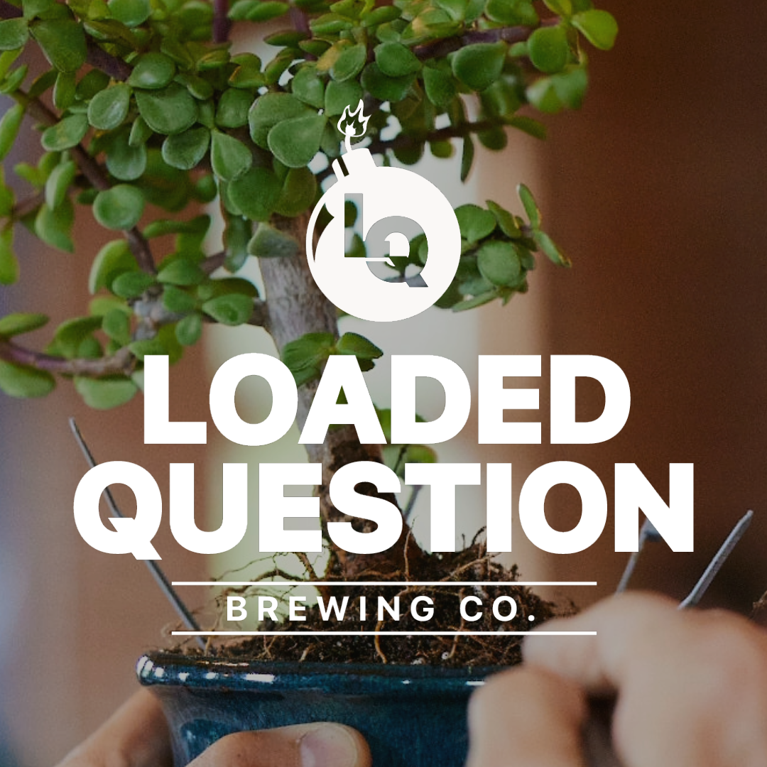Loaded Question Brewing Company – Bonsai Bar